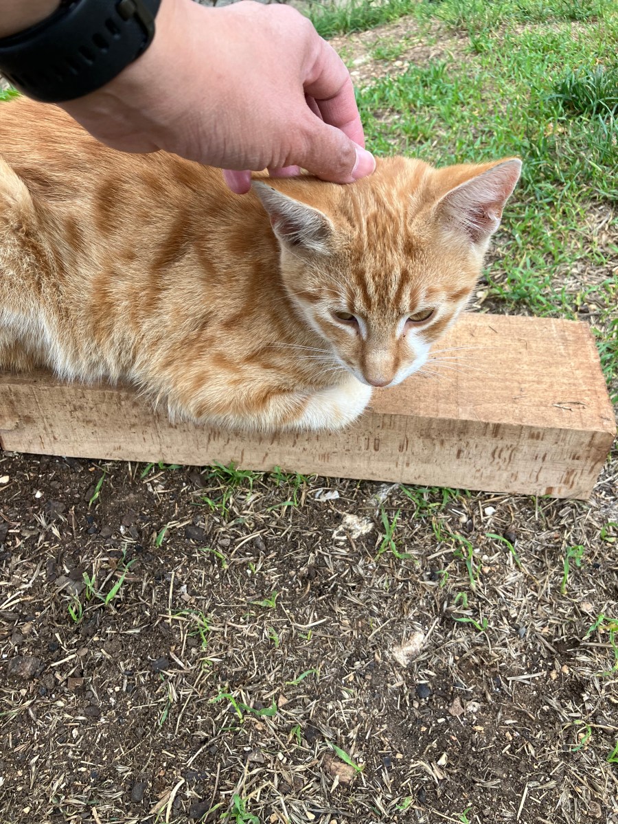 Explore the Natural Beauty of Bosnia and Herzegovina – on This Earth